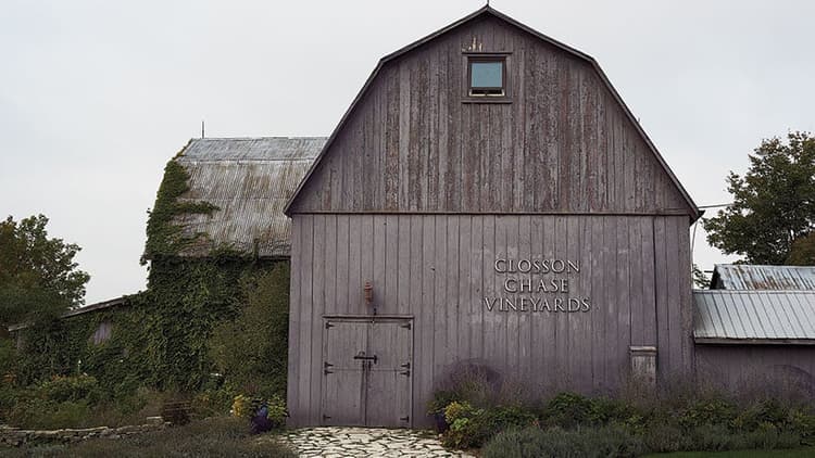 Deborah Paskus: The terroir technician - Macleans.ca