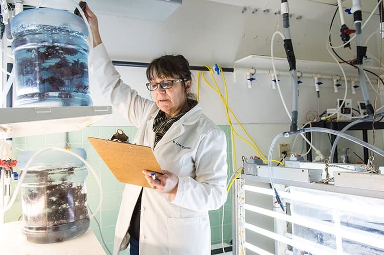 How Acadian Seaplants became a global leader in seaweed - Macleans.ca