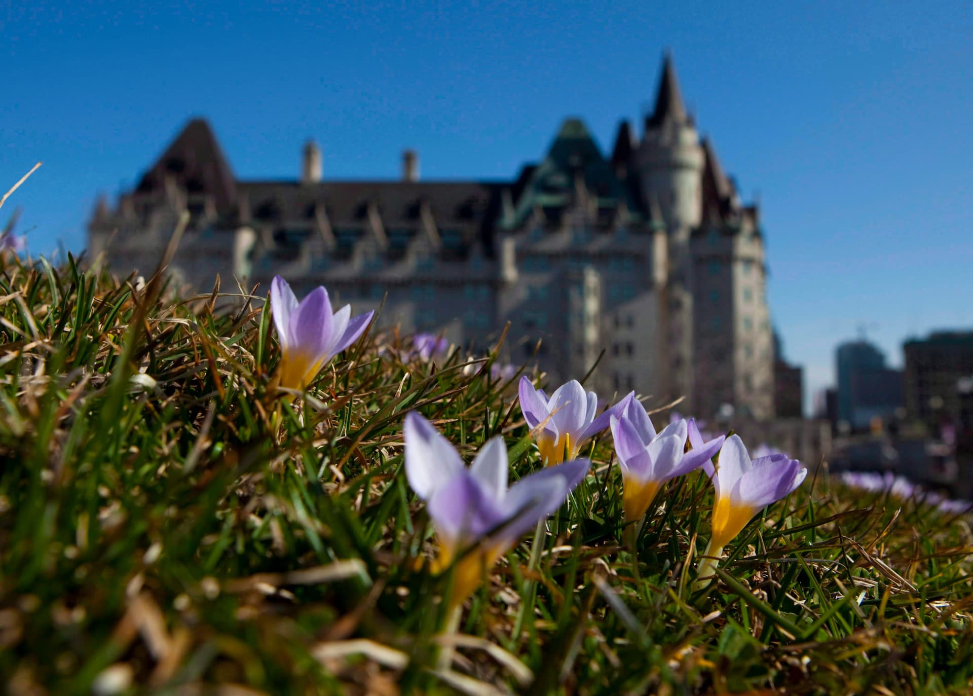 Chateau Laurier - Macleans.ca